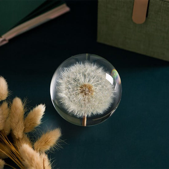 ArtZ® I See A Bright Future Dandelion Crystal Ball – ArtZMiami